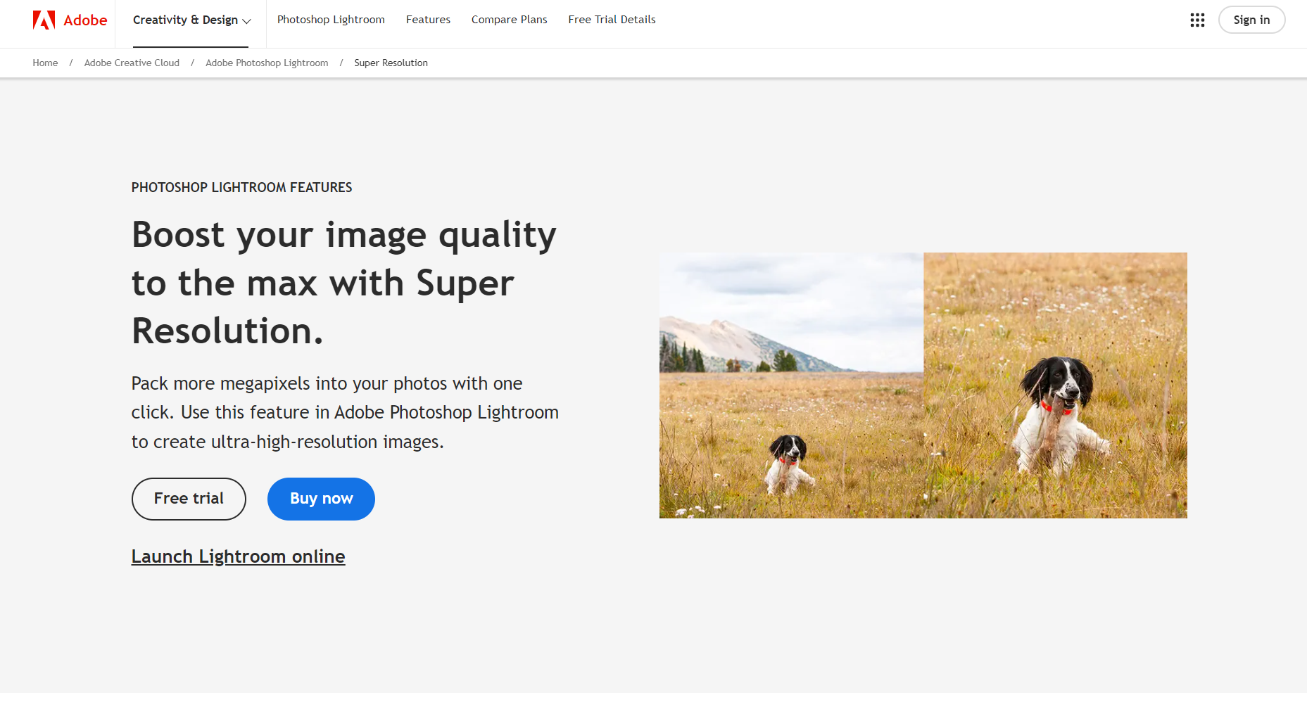 Free AI Photo Enhancer - Enhance Image Quality and Resolution Online ...